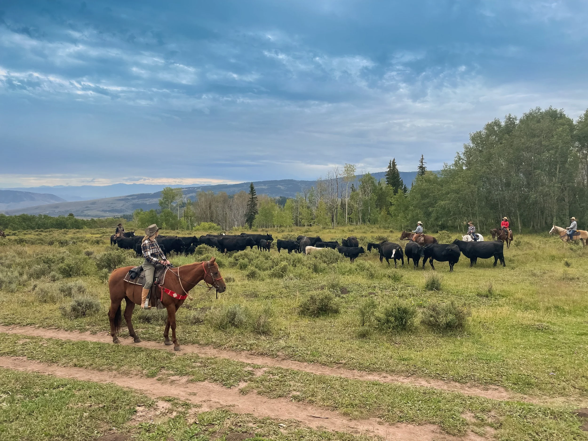 Latigo Guest Ranch, Colorado USA — Top with kids