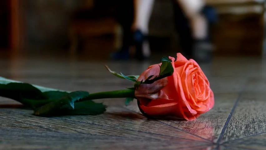 En dans på roser — Gro-Helen Torum