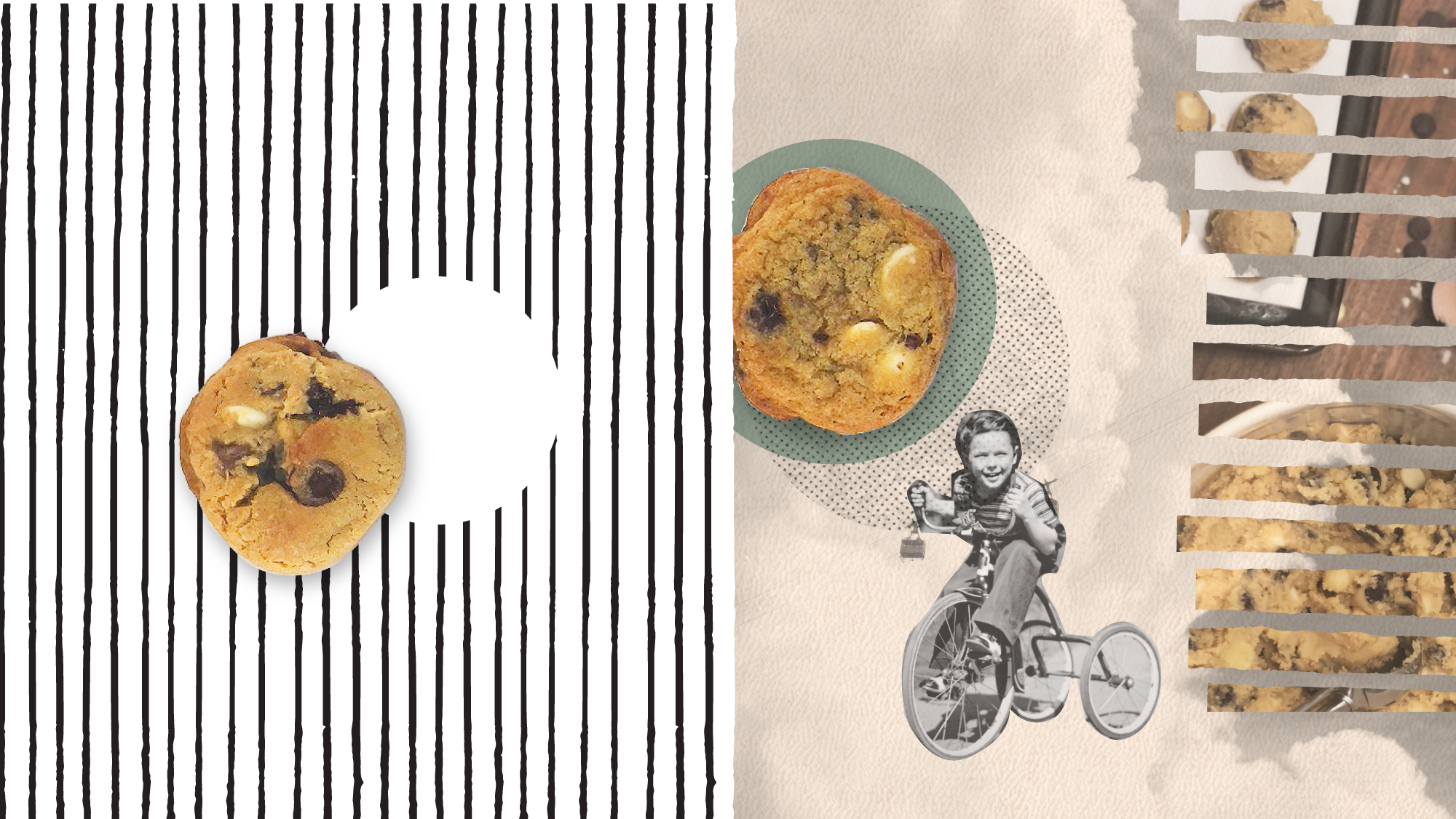 Ree Ree Dee's Dough — anna bird design