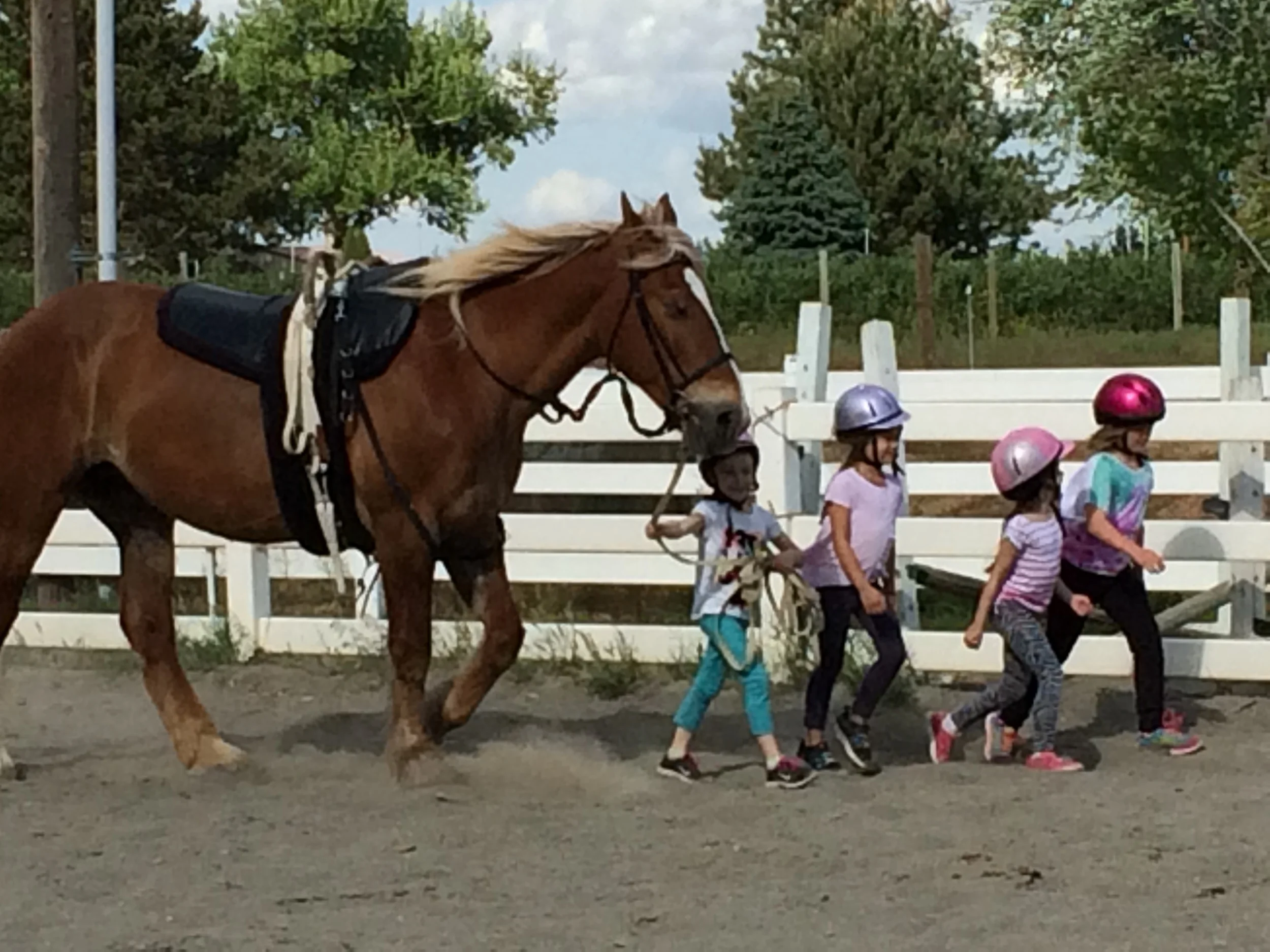 Happy Horse Riding School