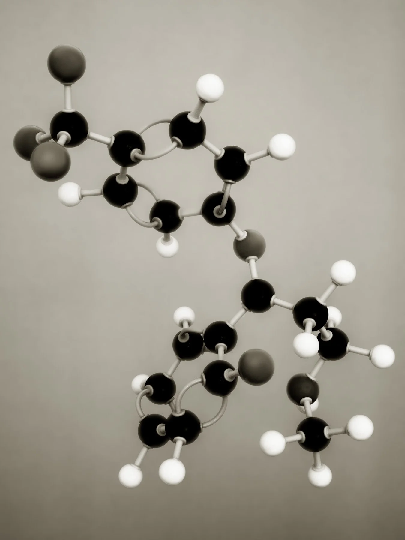 Half the World Must Be Buried Alive — N.Hubicki