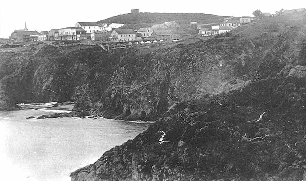 History — Cuffey's Cove