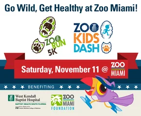 Race Day Professionals–ZooRun 5K & ZooKidsDash benefiting West Kendall ...