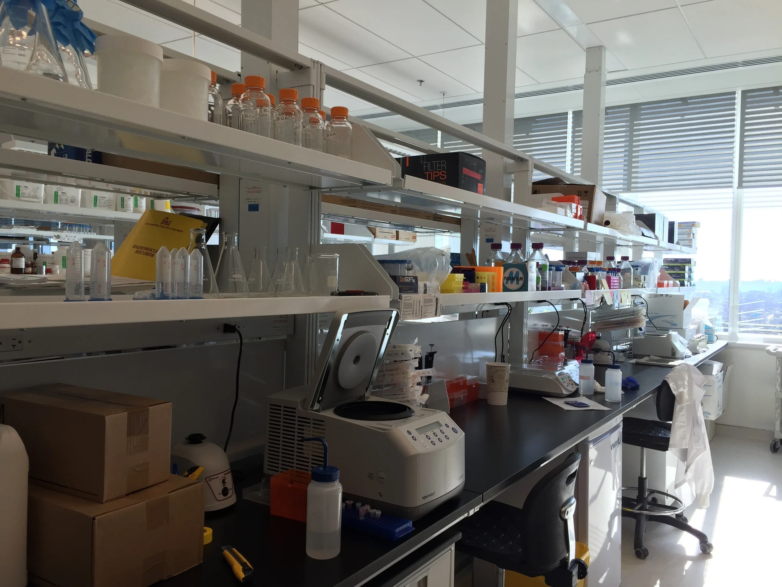 Rissland Lab | RNA Research in Denver