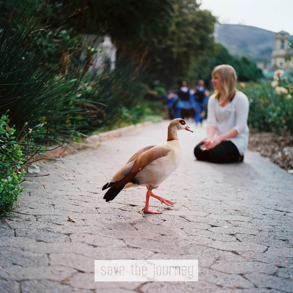 Square, Before It Was Cool - Yashica Mat 124G review — Save The Journey