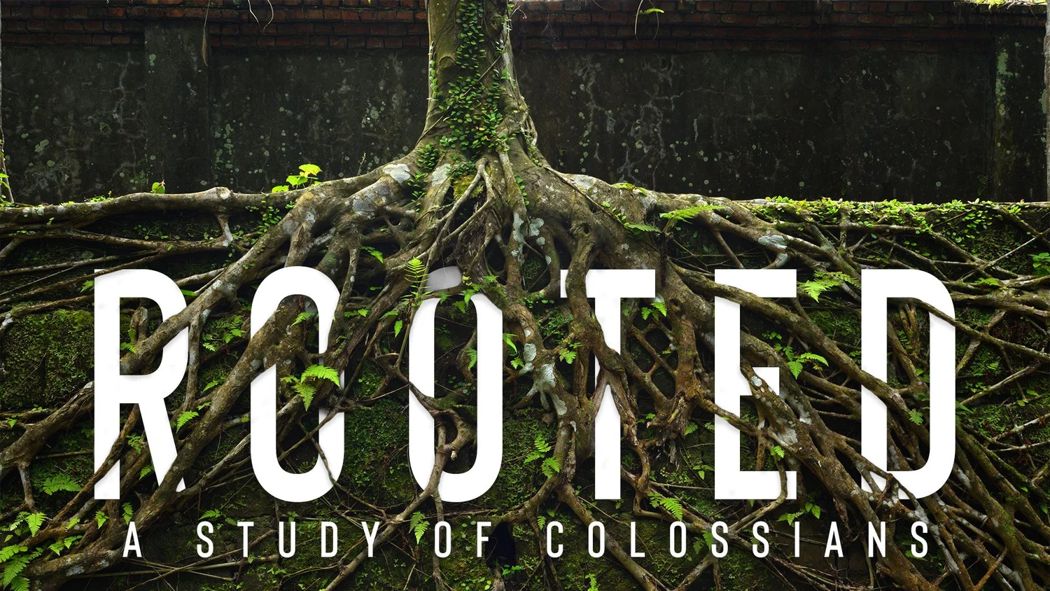 Watch Online — New Hope Church