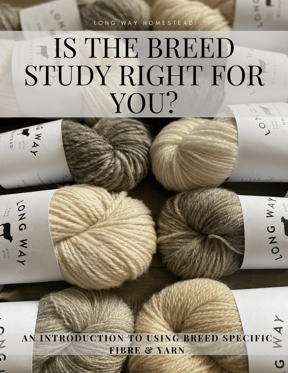 Breed Specific Wool and Fibre Study — long way homestead