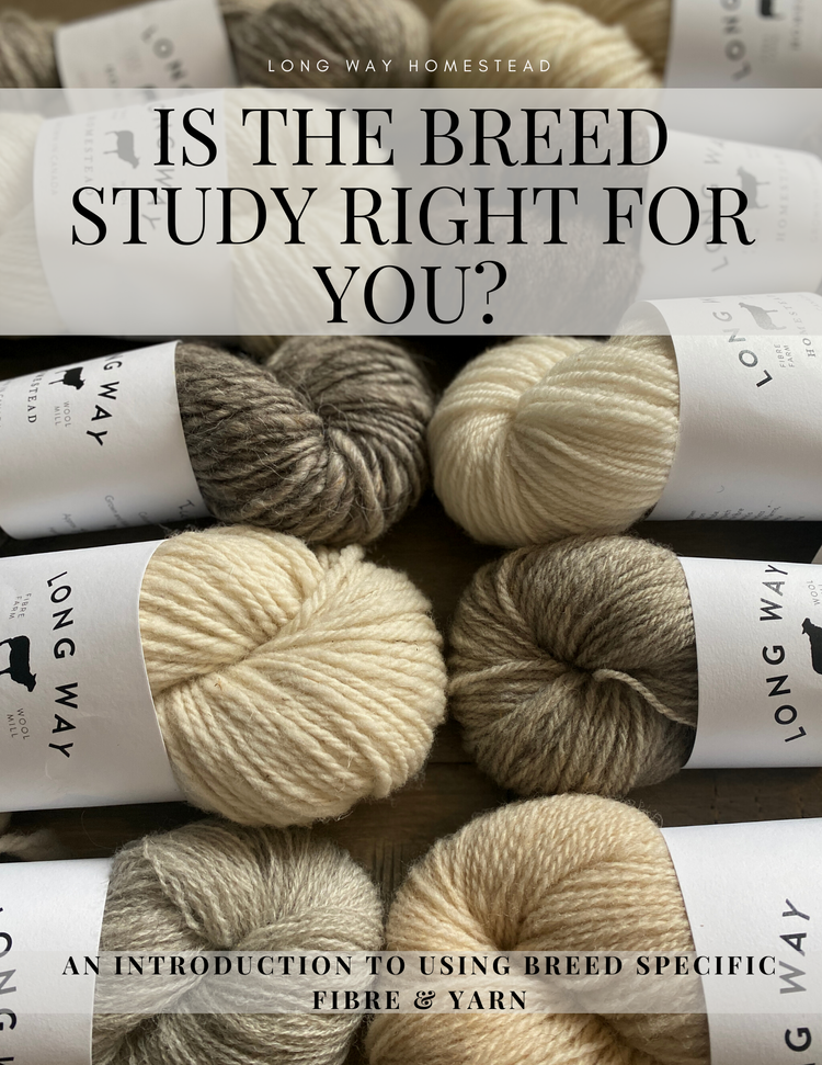 Breed Specific Wool and Fibre Study — long way homestead