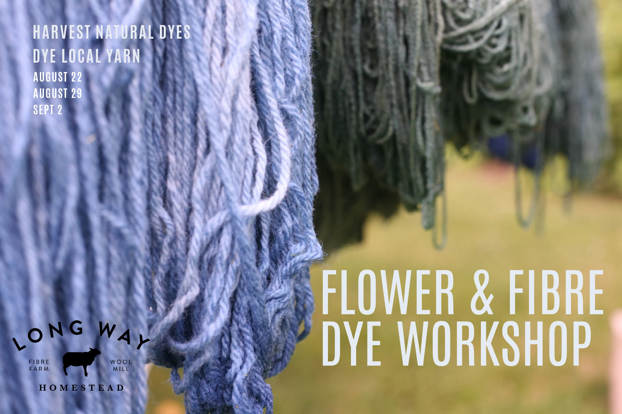 Flower & Fibre Natural Dye Workshops — long way homestead