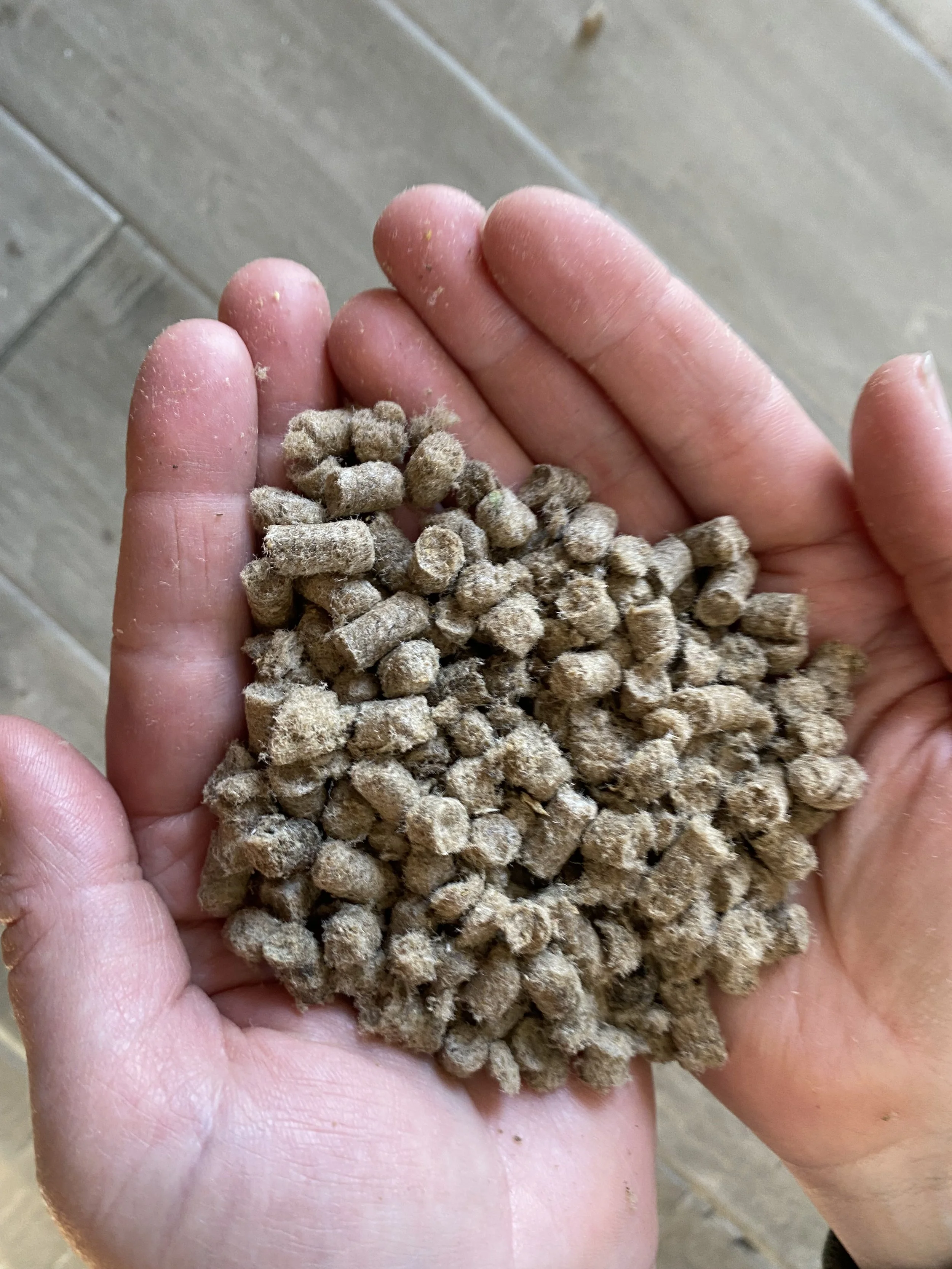 Wool Pellets for your Garden — long way homestead