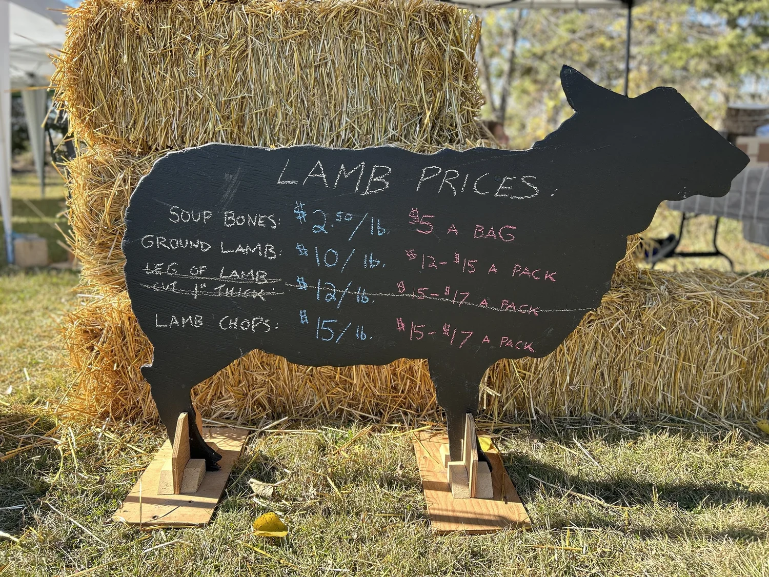 Pasture Raised Lamb for Sale — long way homestead