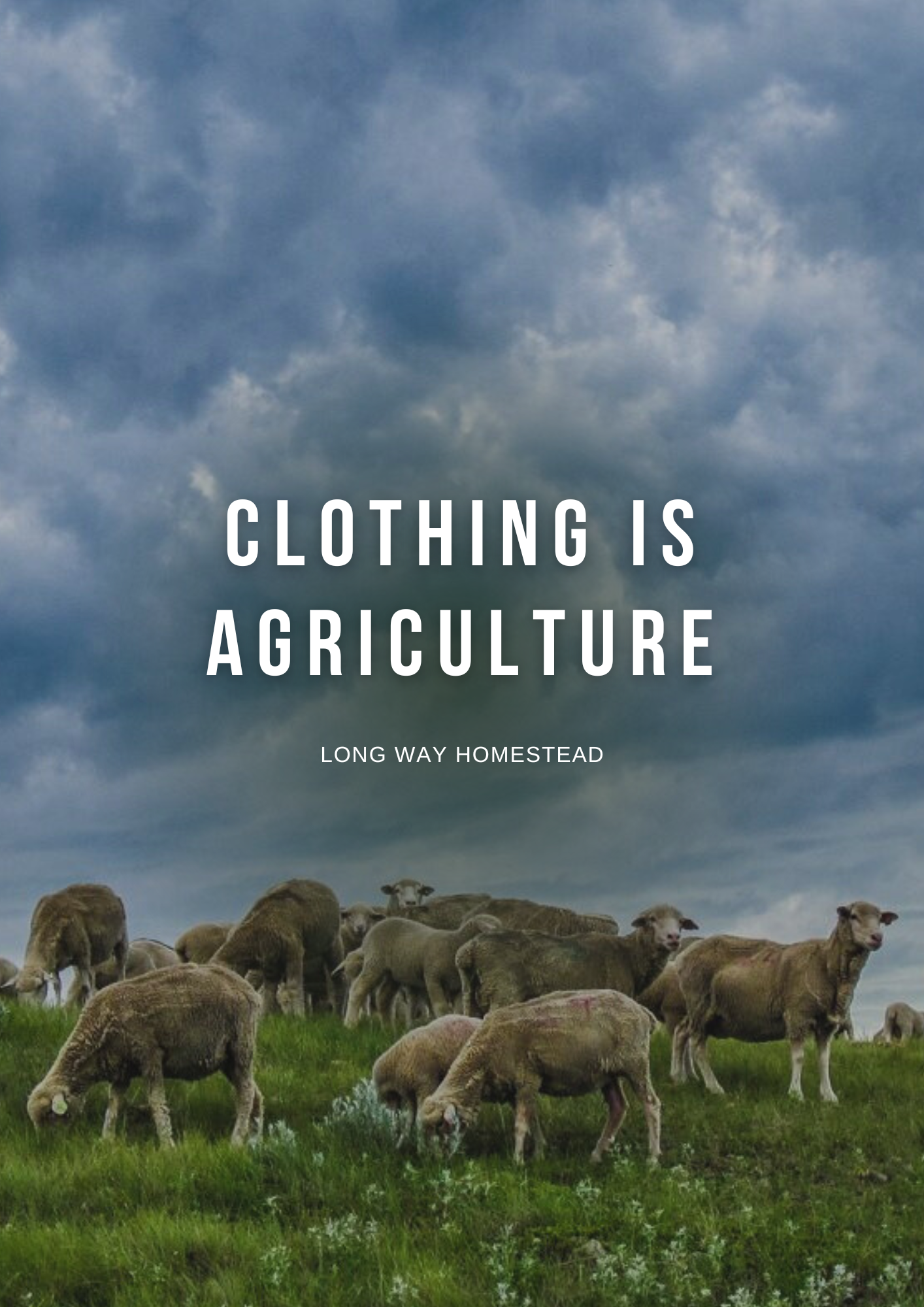 A Year of Canadian Wool — long way homestead