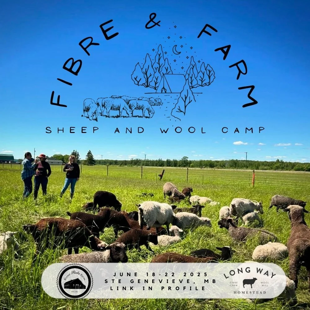 long way homestead - Local Canadian Wool