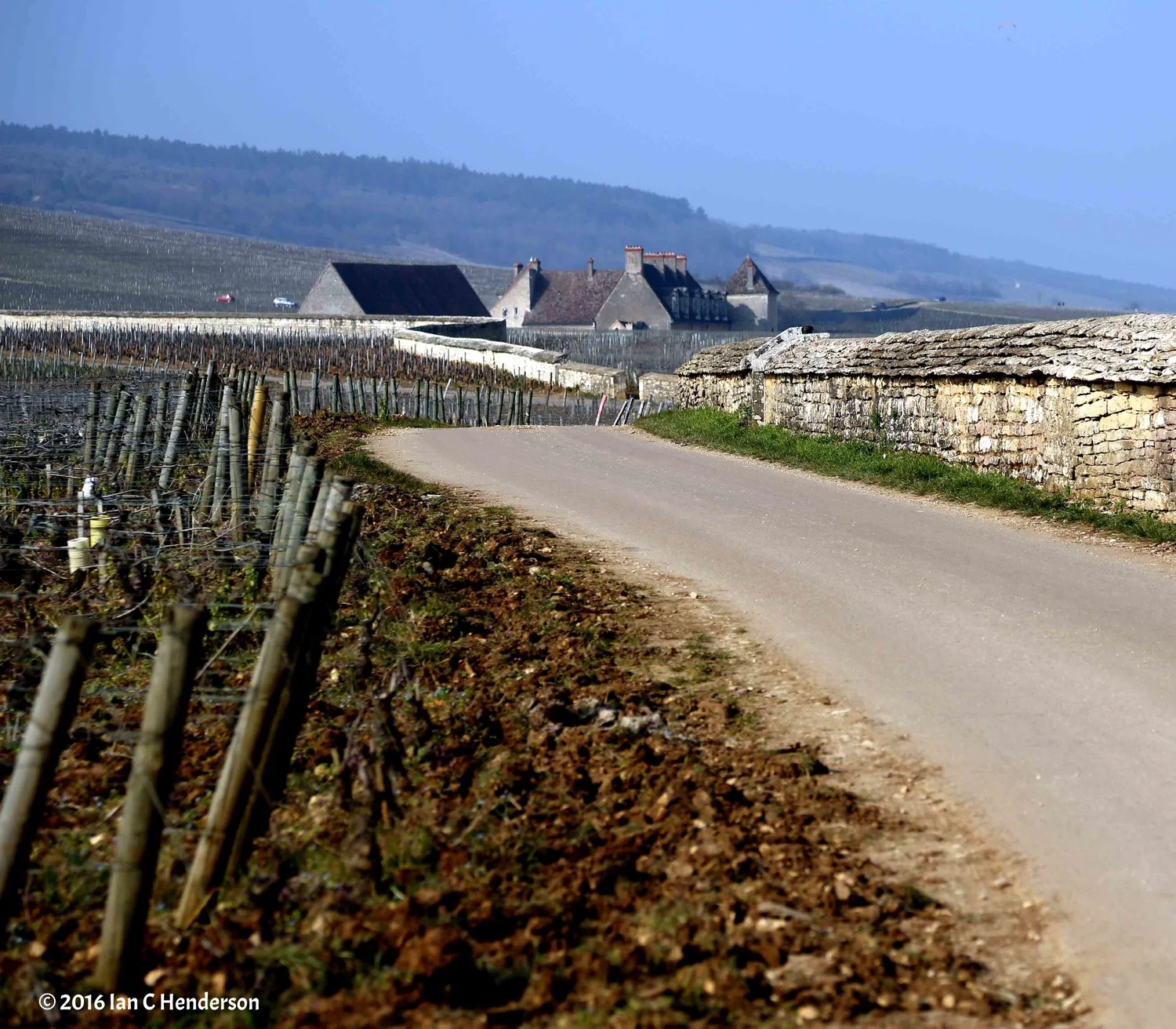 Route des Grands Crus