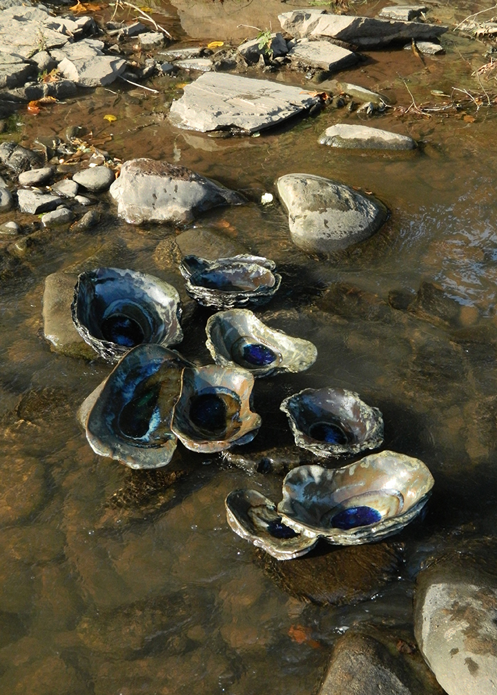 Chickcharney Trap — ANINA MAJOR