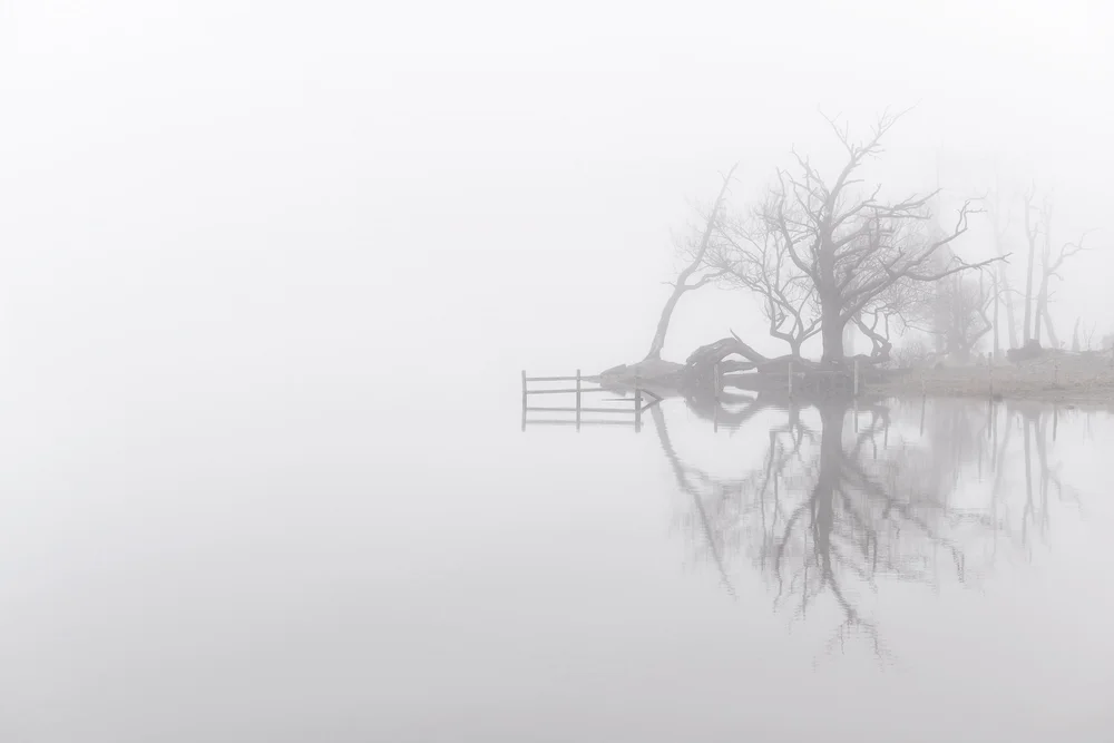 Justin Nugent Photography