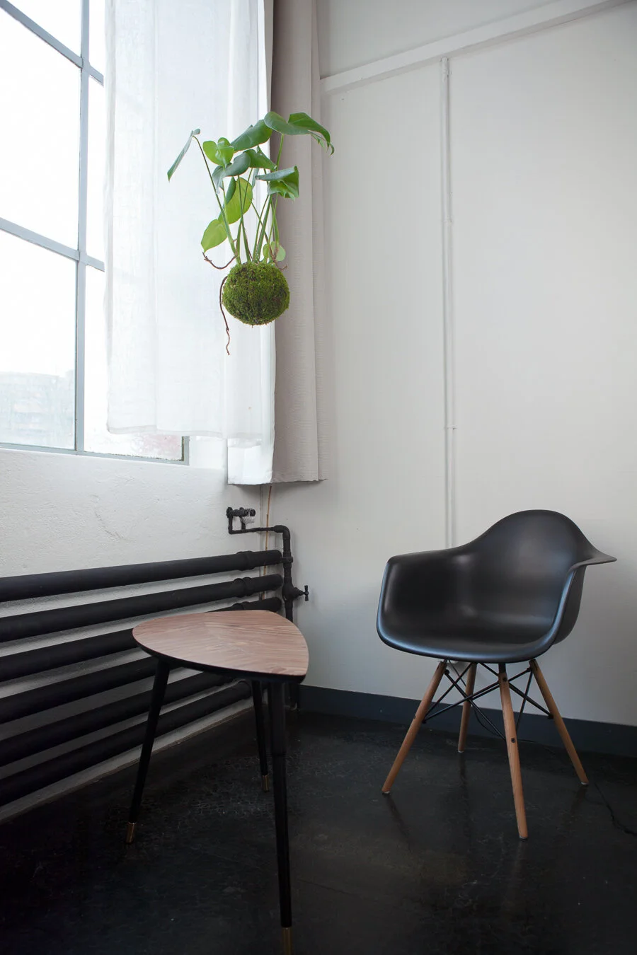 Cosmos Design | Biophilic Designstudio aus Zürich