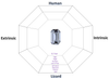 Motivation Map of the Brain (Gamification) — PEL Consulting