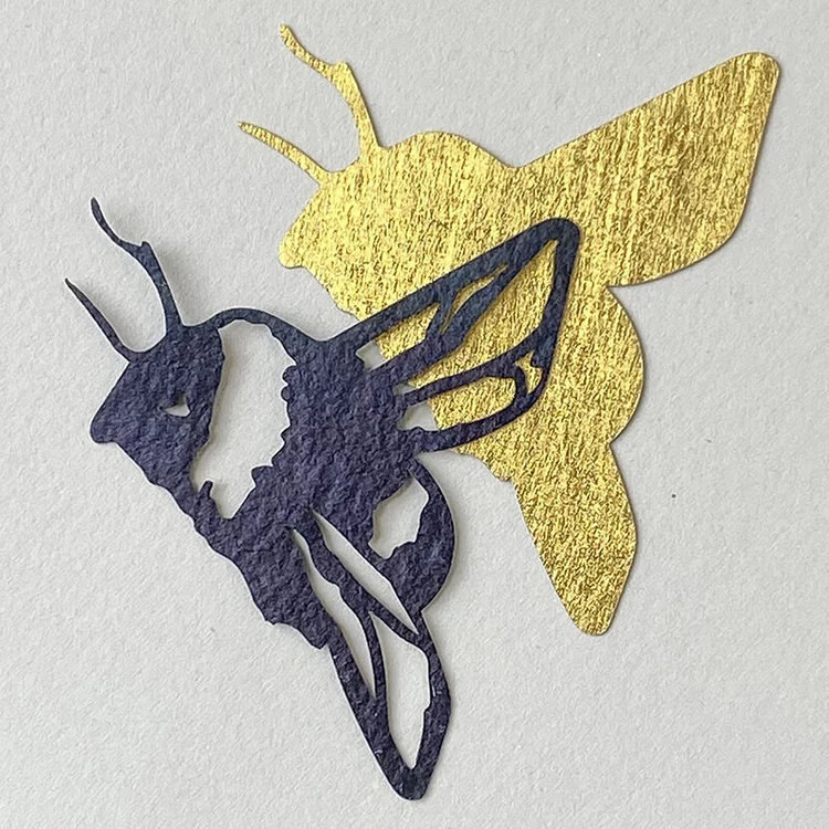 Artist Book: laser cutting examples — FreeFall Laser