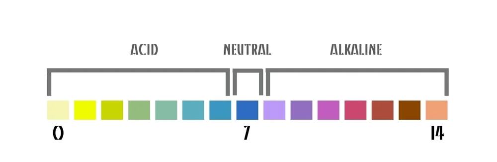 pH and life — CuringMom