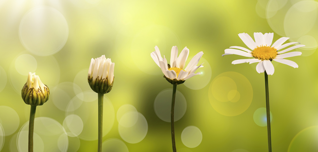 The Buzz on Handling Life Transitions: Interview with Bruce Feiler ... The Buzz on Handling Life Transitions: Interview with Bruce Feiler ...
