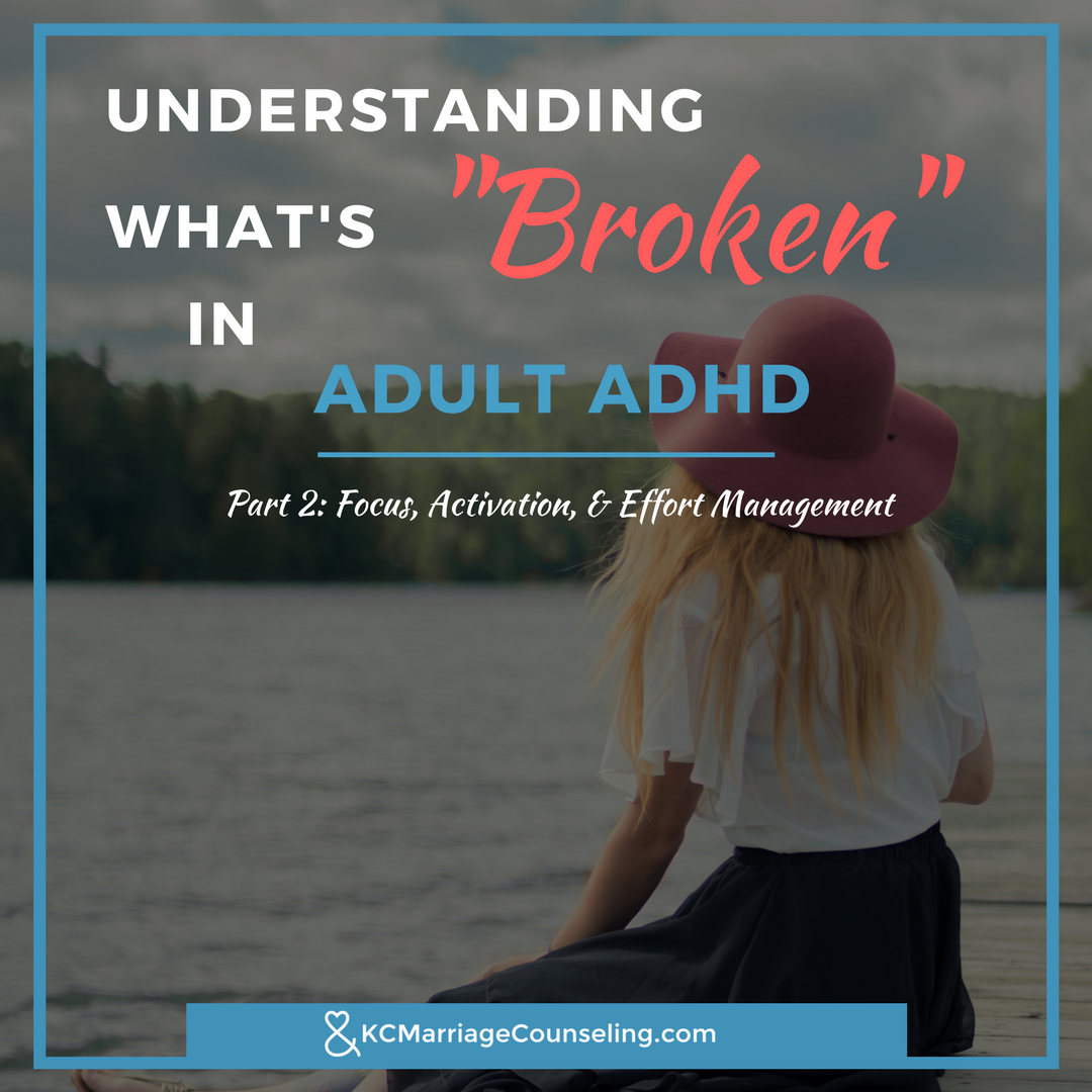 What Is broken In ADHD ADD And Why Can t I Get My Brain To Behave what-is-broken-in-adhd-add-and-why-can-t-i-get-my-brain-to-behave
