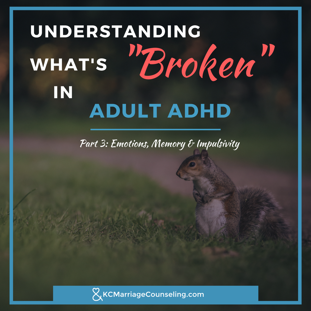 What Is broken In ADHD ADD And Why Can t I Get My Brain To Behave what-is-broken-in-adhd-add-and-why-can-t-i-get-my-brain-to-behave