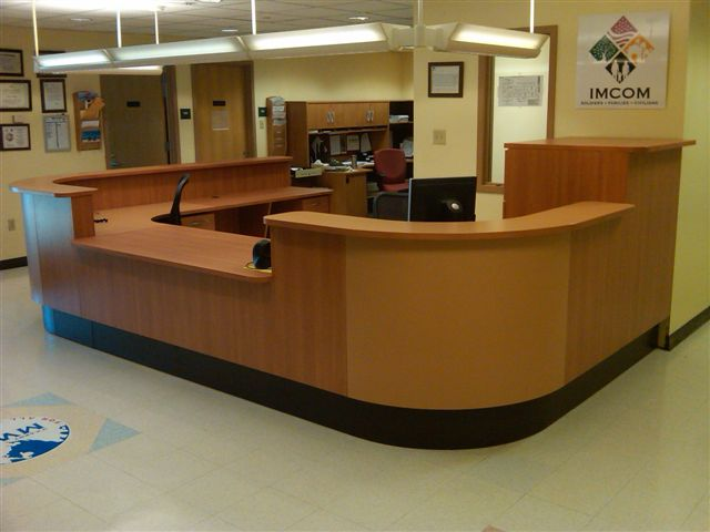 AmCase — Solid Lines