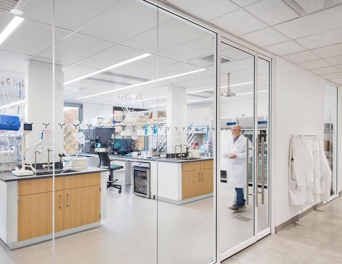 Transwall — Solid Lines