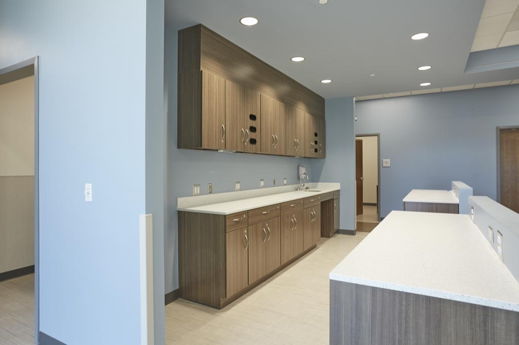 AmCase — Solid Lines