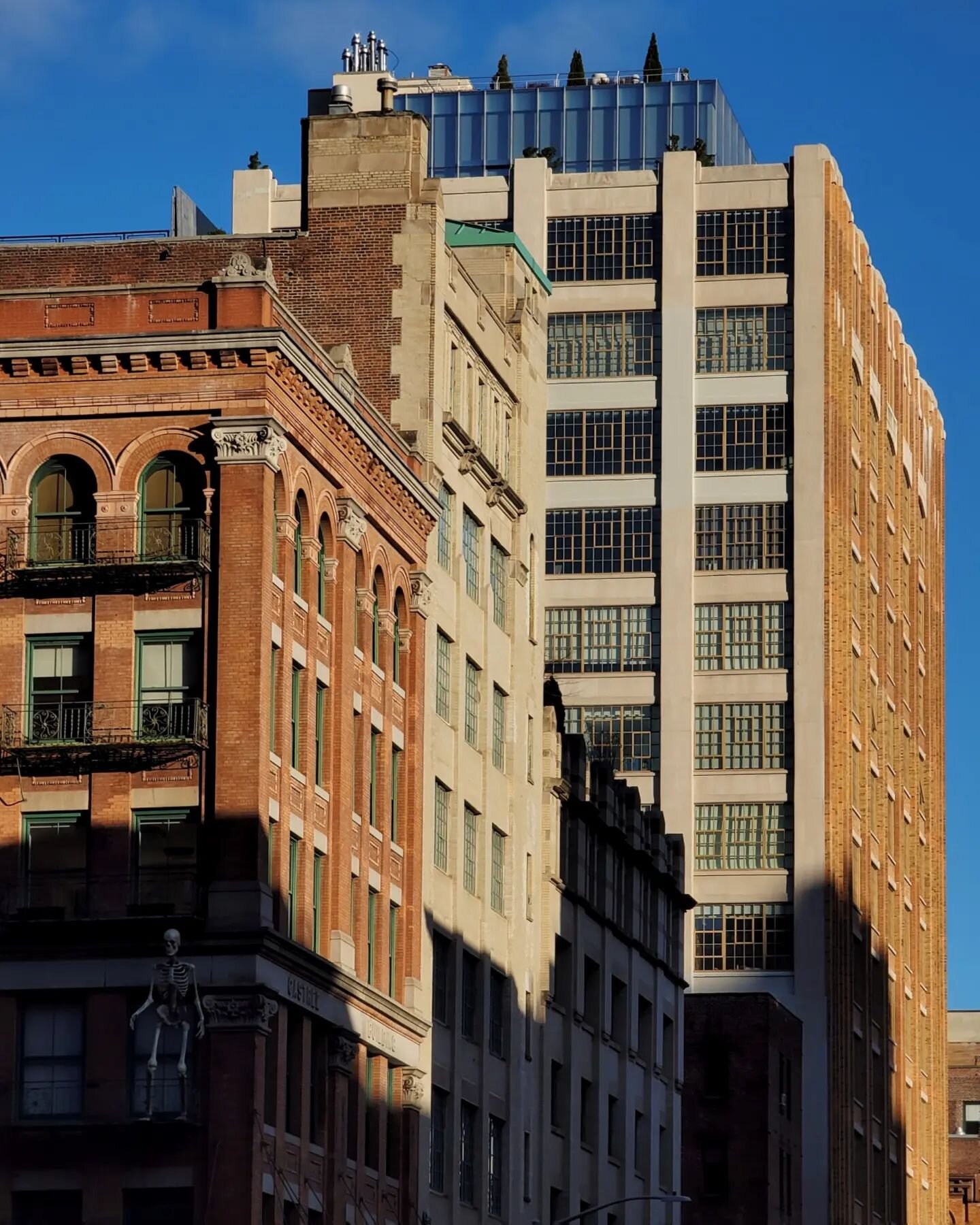 JULIA CHESKY PHOTOGRAPHY | NYC STILL LIFE, PRODUCT, PORTRAITURE, AND ...