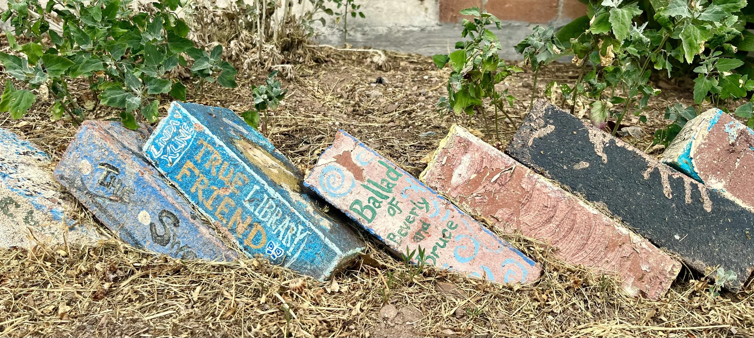 The Most Beautiful Library in the Catskills — Brooklyn DoubleWide