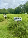 NOW CLOSED: Weiss Ferments: The Catskills' Best Hidden Brewery ...
