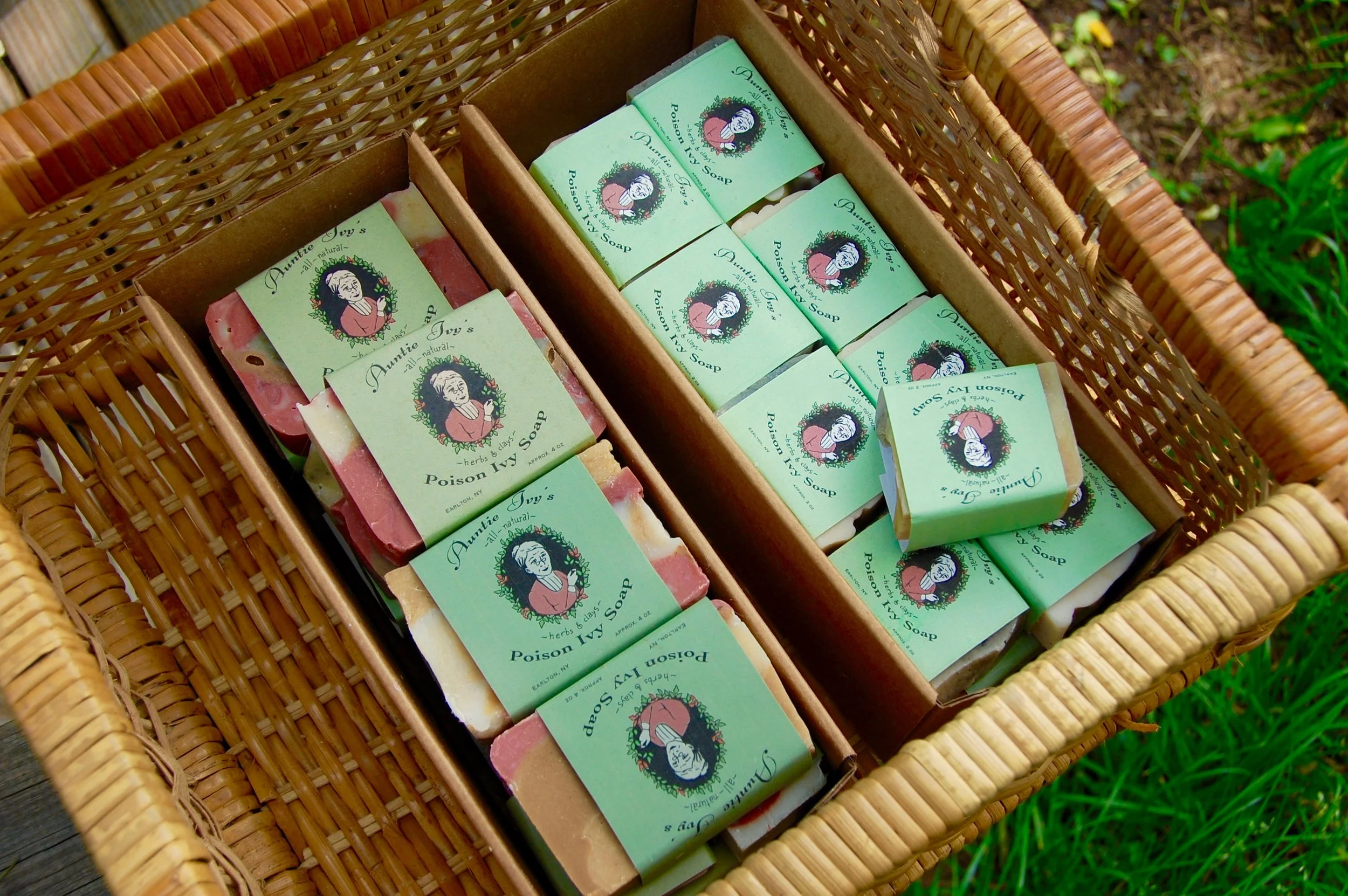 The Catskills Cure for Poison Ivy — Brooklyn DoubleWide