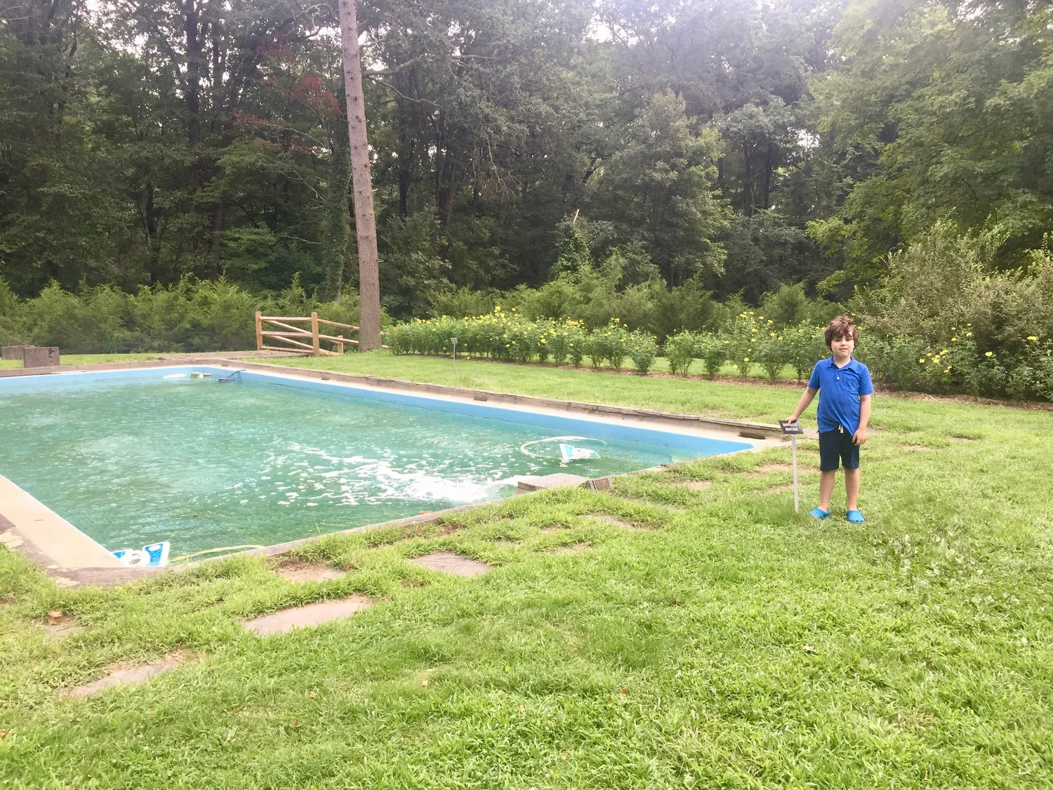 The FDR Museum and Eleanor's Lady-Power Pool House — Brooklyn DoubleWide