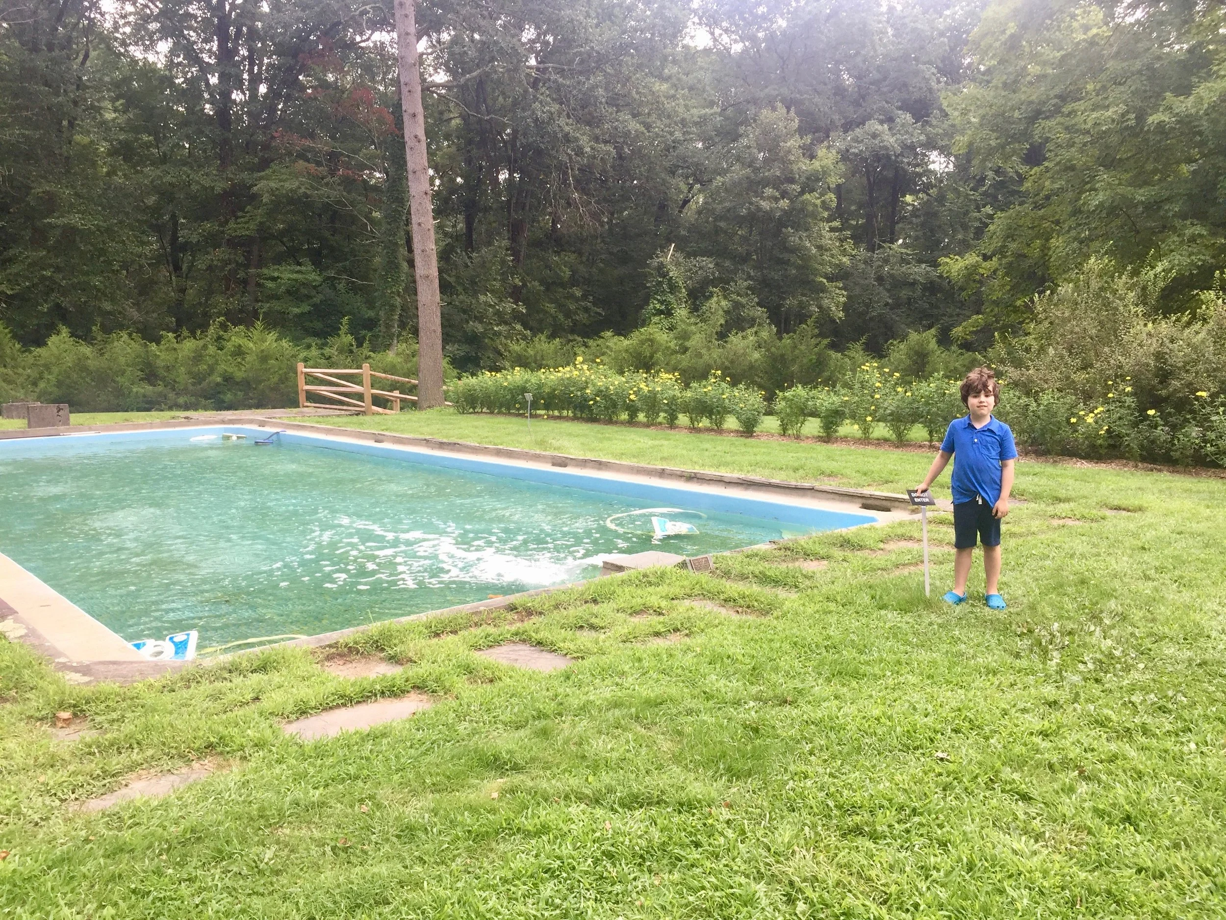 The FDR Museum and Eleanor's Lady-Power Pool House — Brooklyn DoubleWide