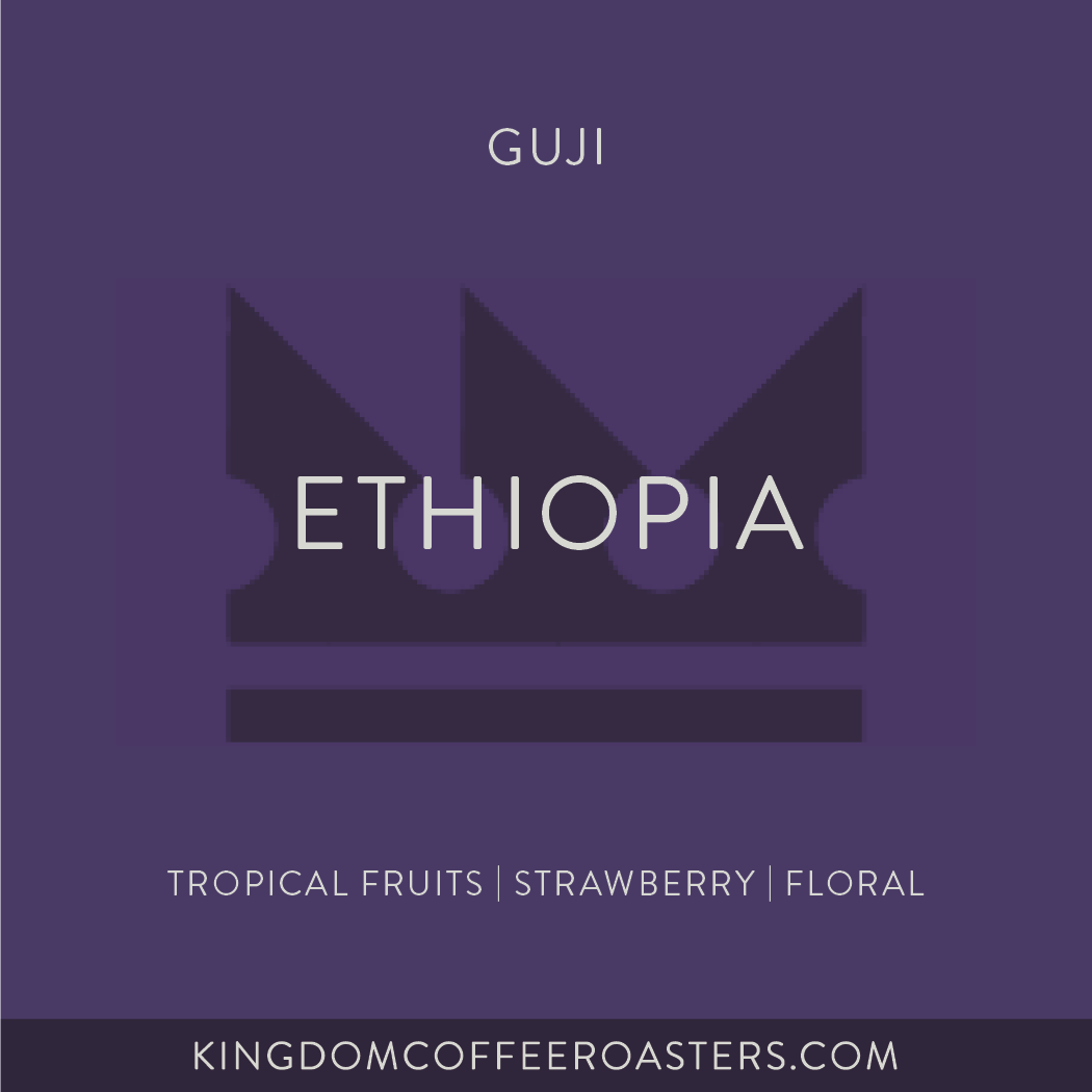 ETHIOPIA GUJI 1 NATURAL URAGA — Kingdom Coffee Roasters