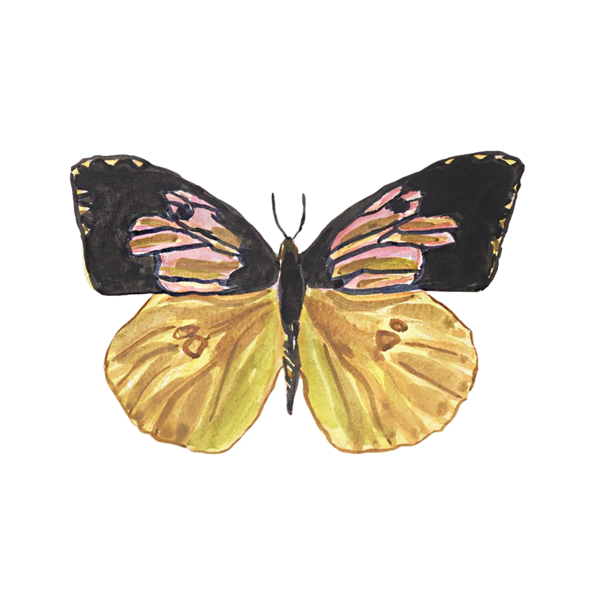 PRINT SHOP — Jillian Darville Art