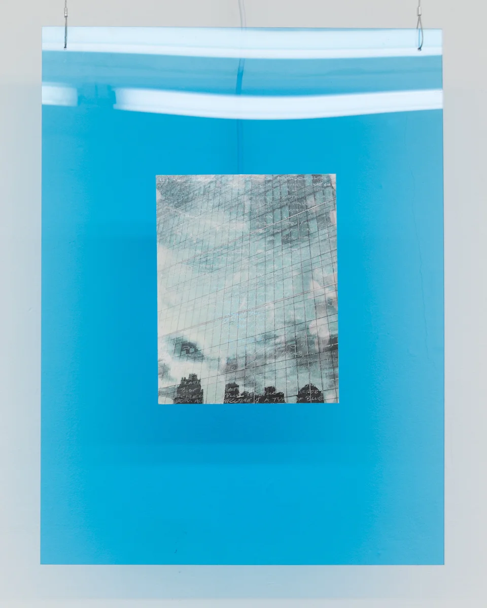 Elizabeth Karp-Evans — Shoot the Lobster