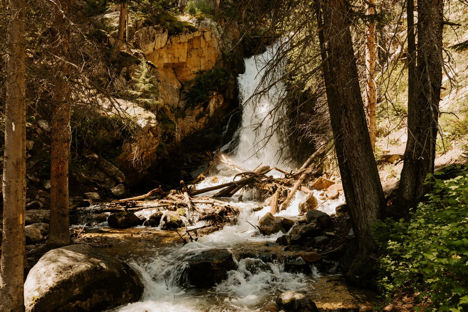 Red Lodge, Montana Wedding Guide — Montana Diaries