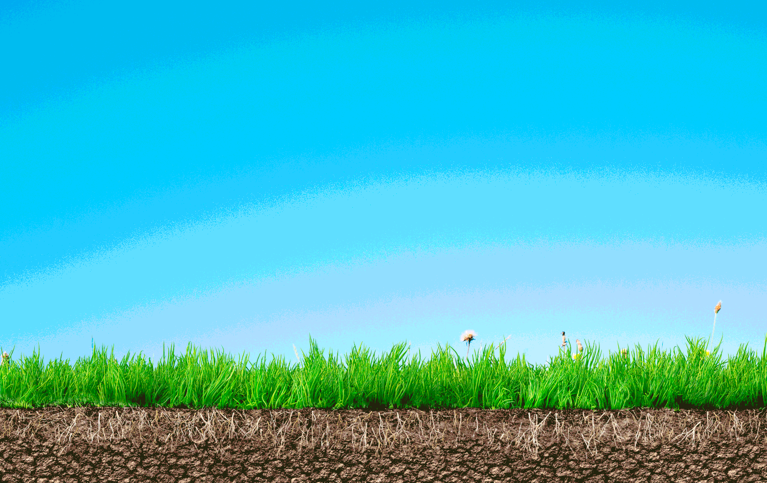 Nutshell - Partners in Portions