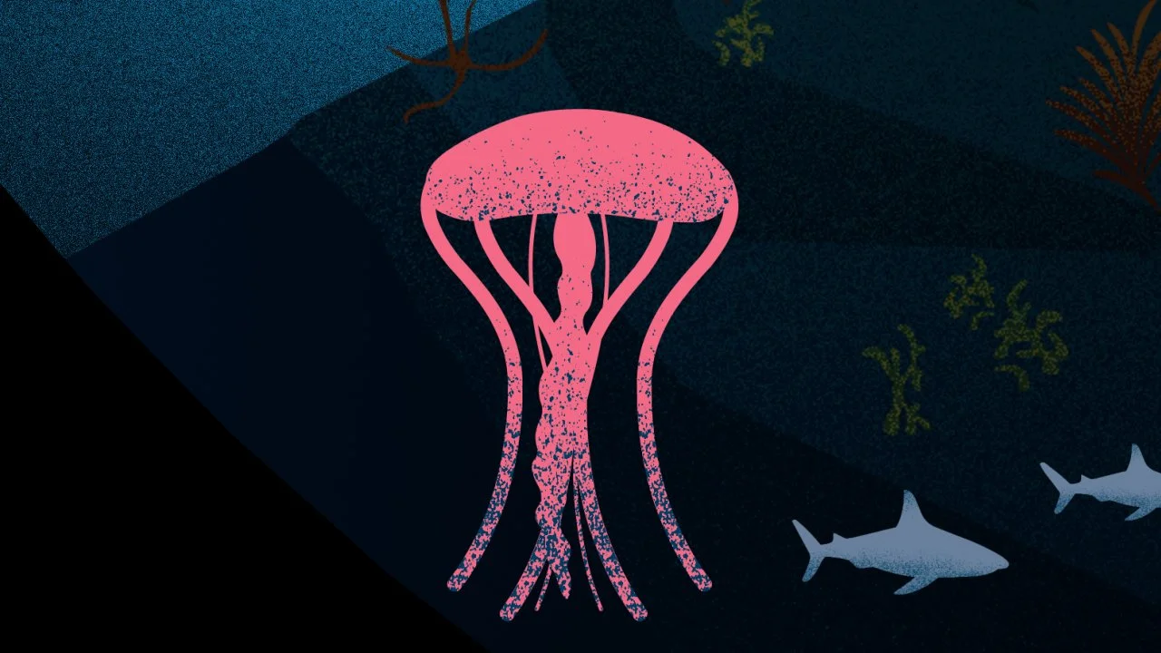 Kilogramme Animation Studio Producers of 2d animation, explainers and ...