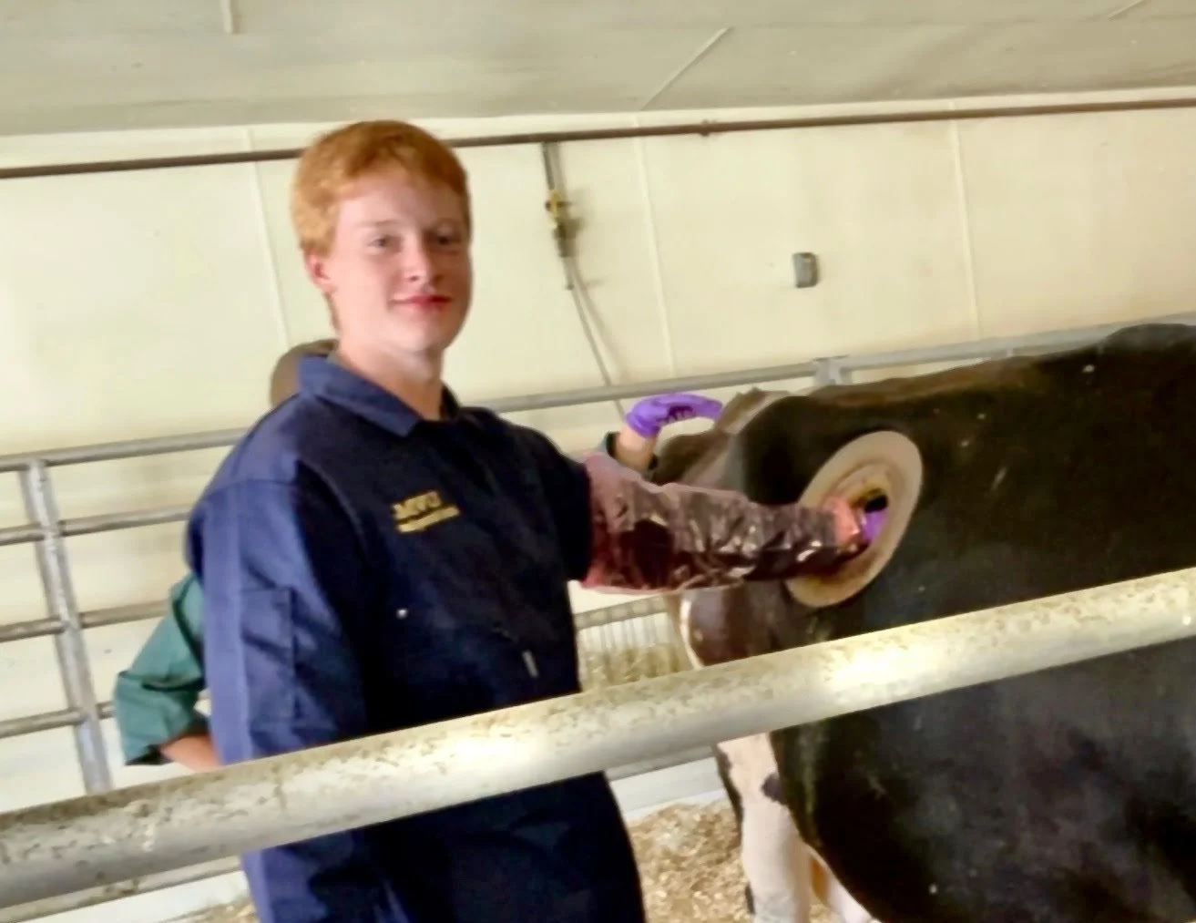 Staff — Henderson Equine Clinic