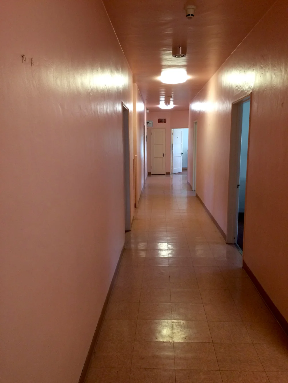 The Prettiest Abandoned Asylum Ever — Miss Havisham's Curiosities