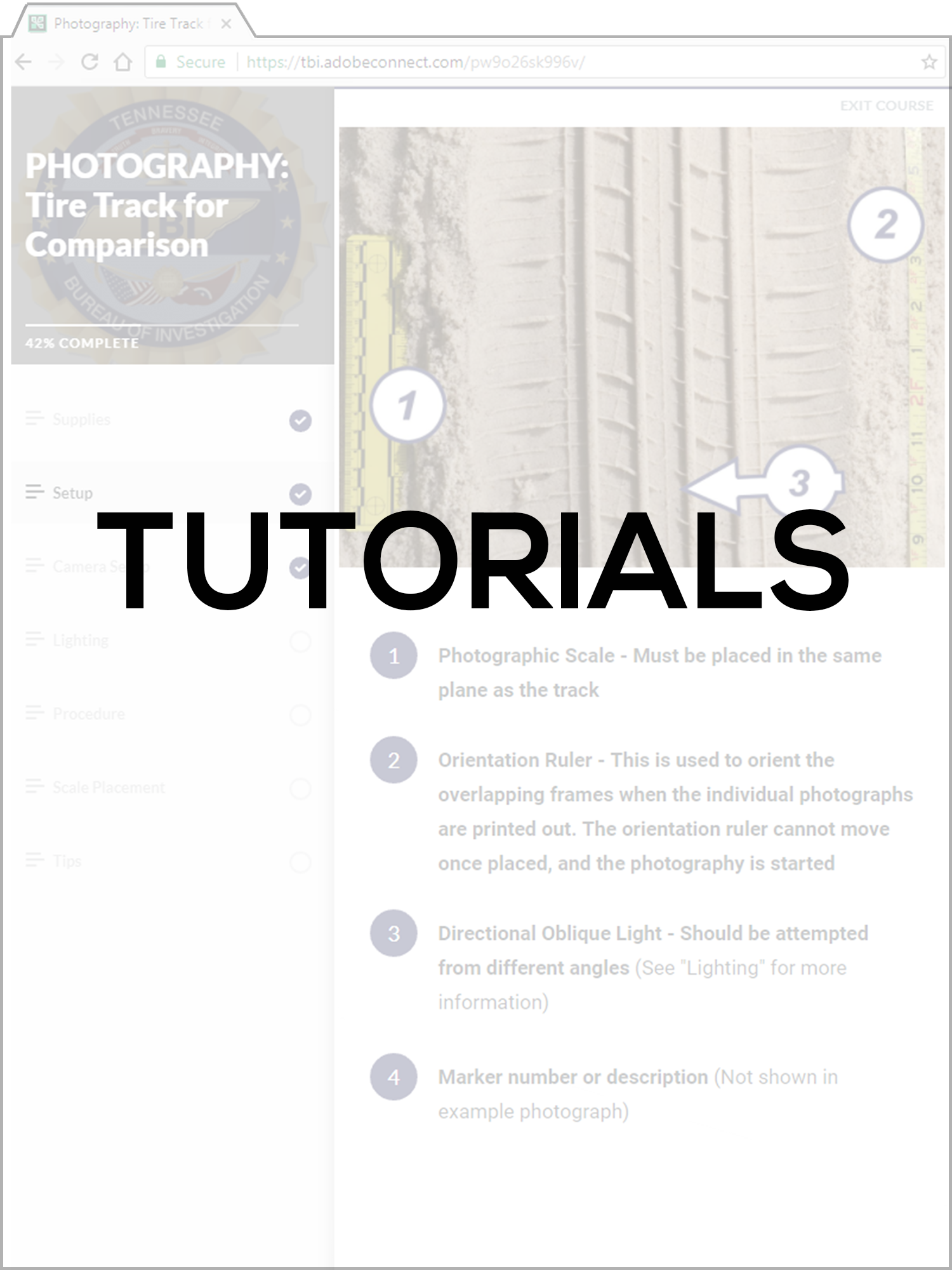 Online Courses — TBI LEARN