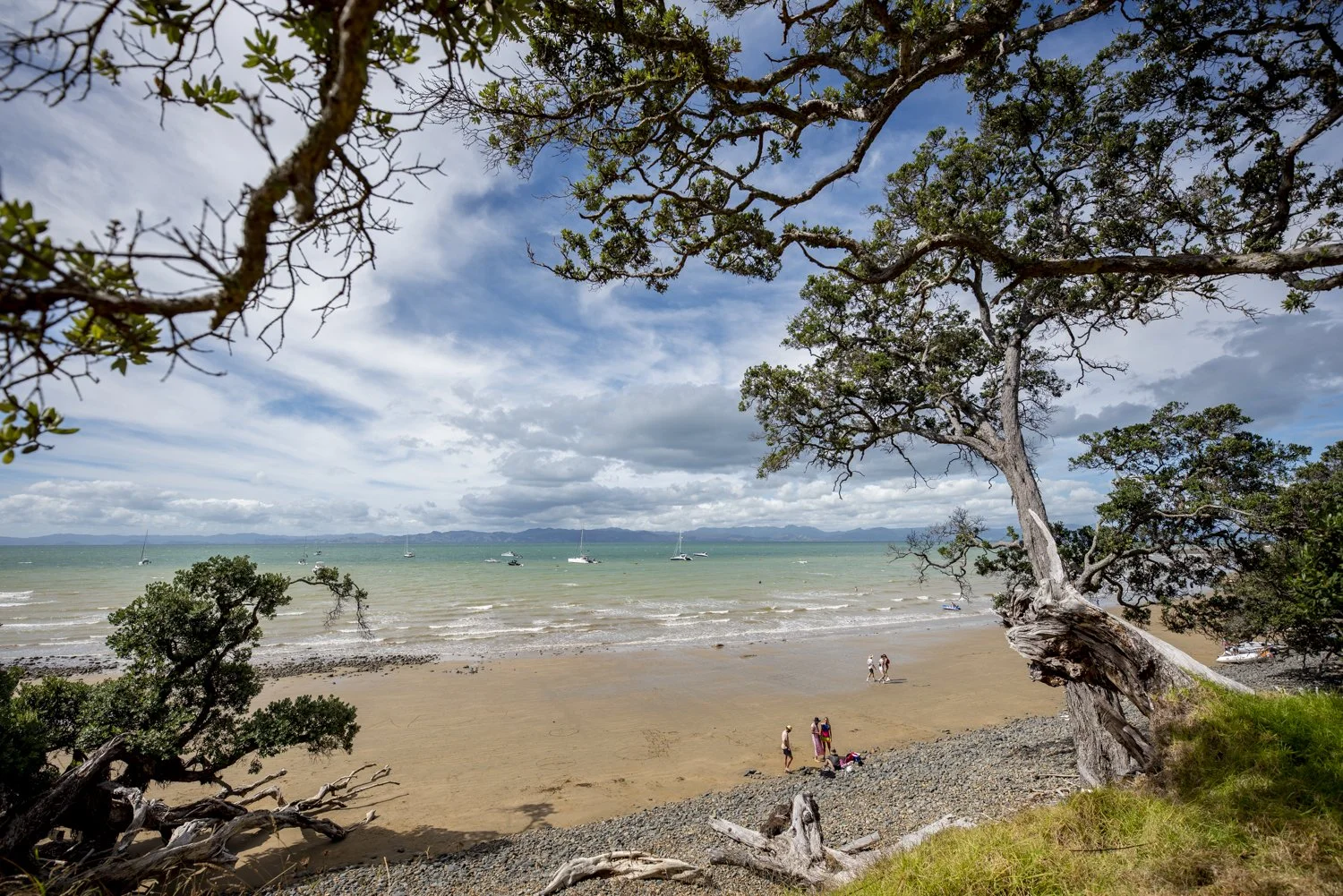 Coming by Boat — Splore Festival