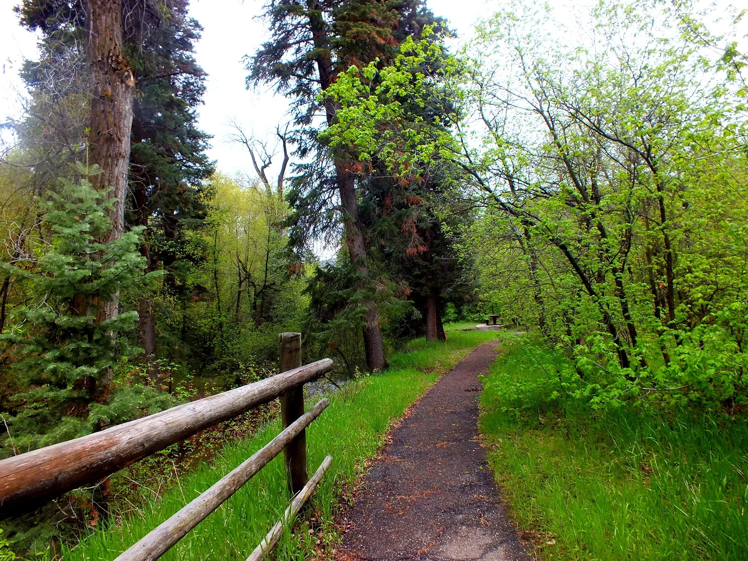 Cherry - Balsam Campgrounds — ScouterLife