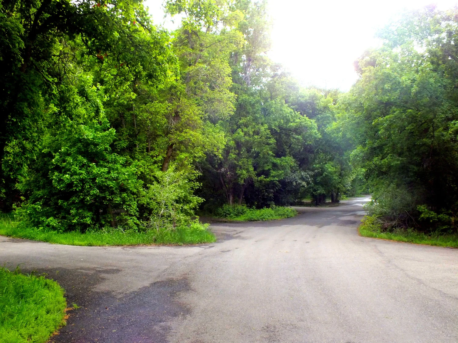 Cherry - Balsam Campgrounds — ScouterLife