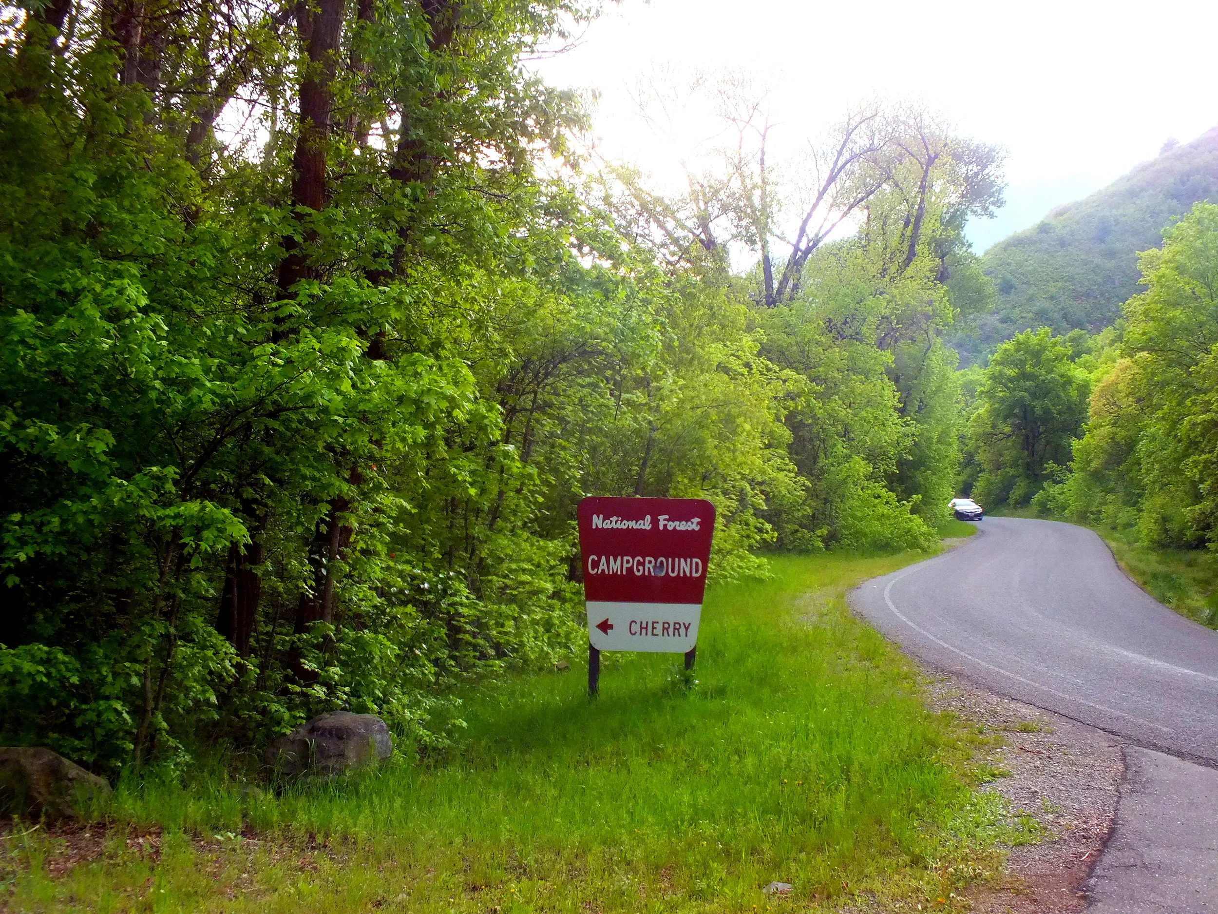 Cherry - Balsam Campgrounds — ScouterLife