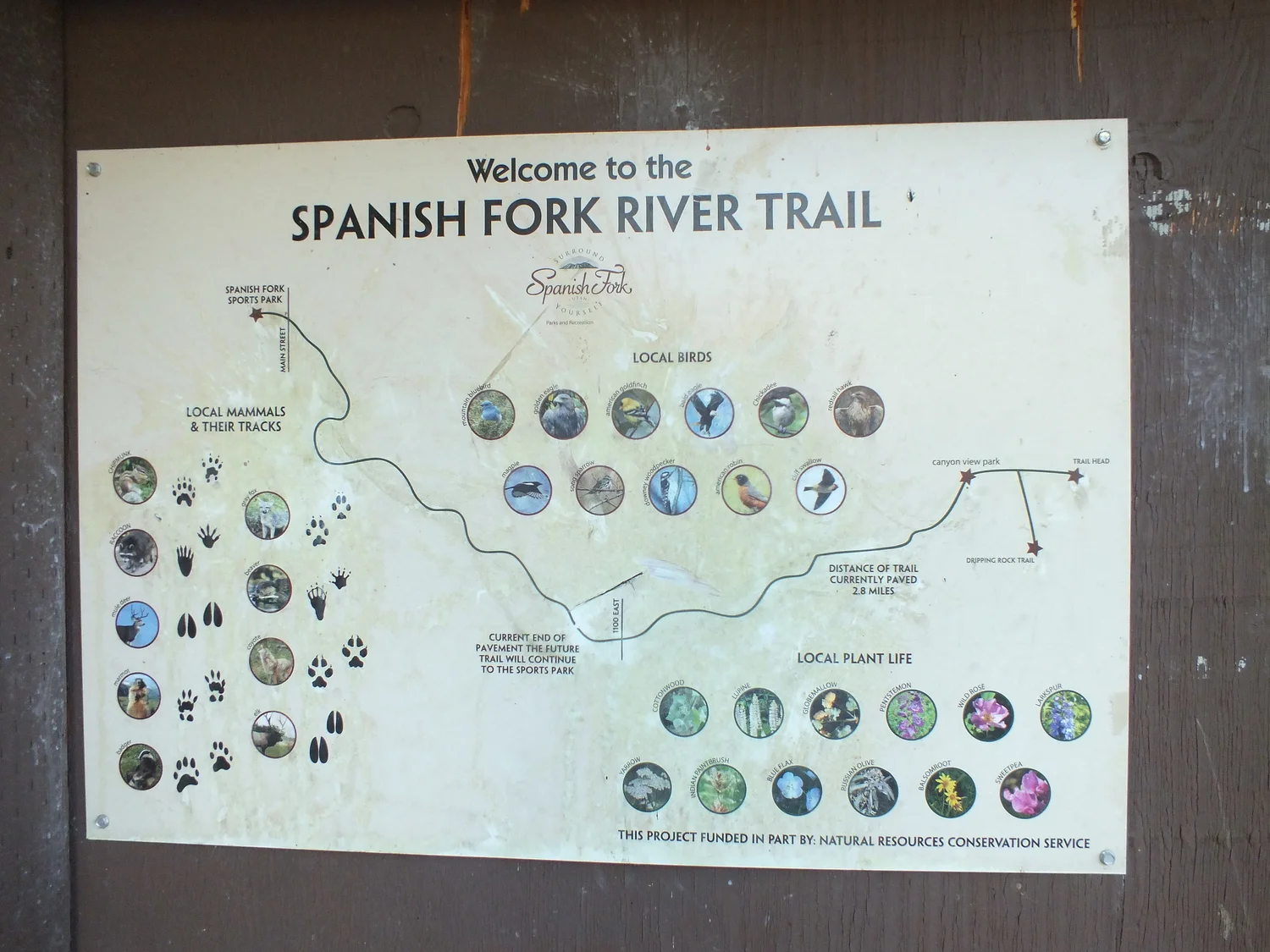 Dripping Rock Hike — ScouterLife